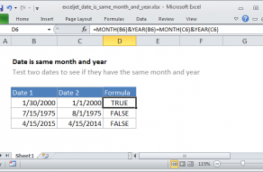 Excel YEAR function | Exceljet